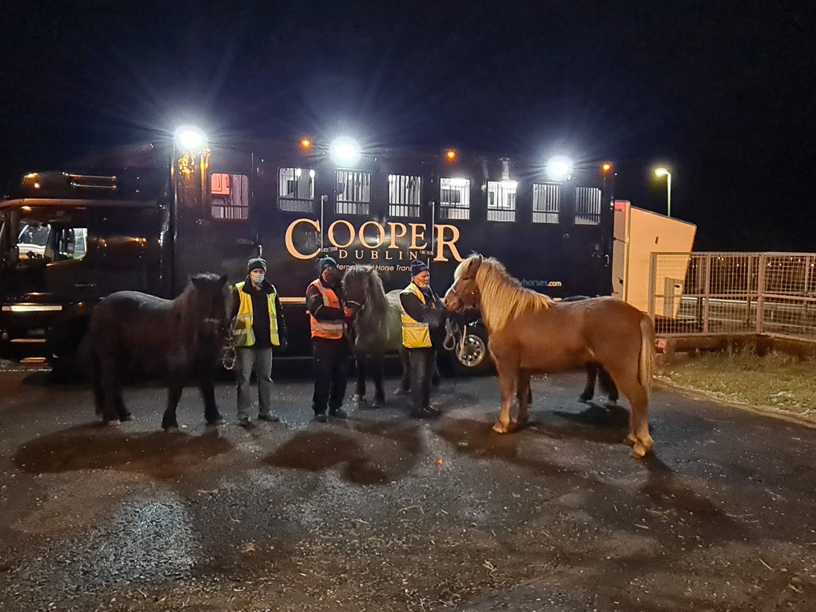 Client name 10 | Cooper Horse Transport and Shipping Ireland